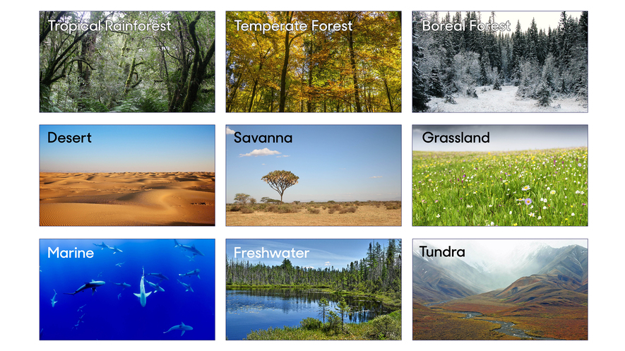 Newsela | What makes a biome? Newsela | What makes a biome?