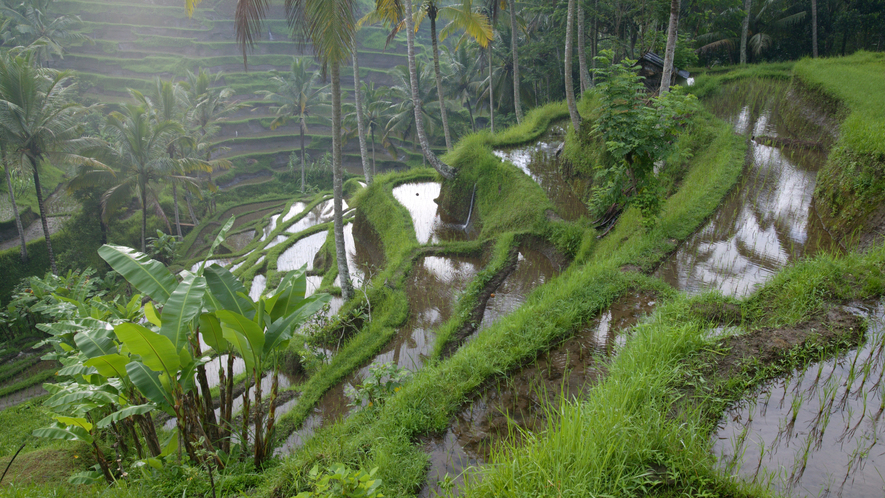 Newsela Environmental Impacts Of Agricultural Changes newsela-environmental-impacts-of-agricultural-changes